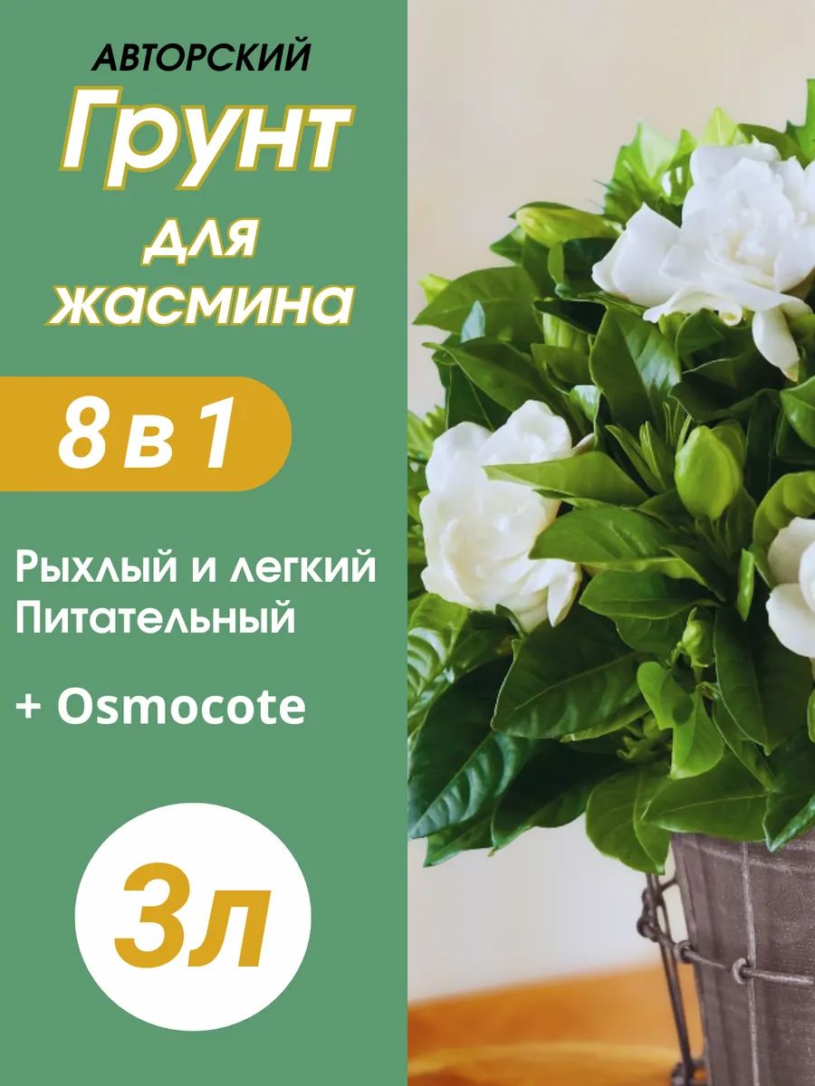 Грунт для Жасмина 3л готовый
