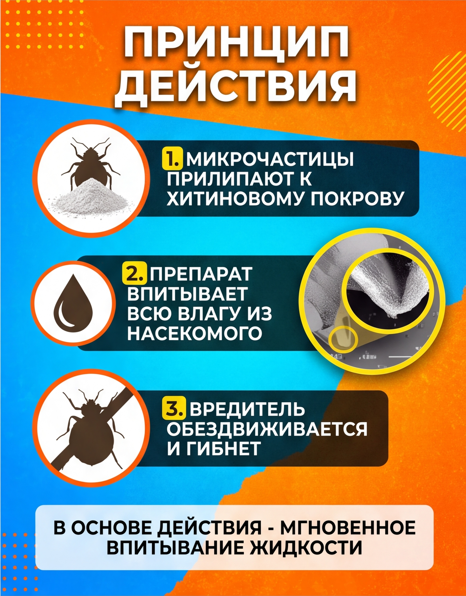 Гектор против клопов — фото 1