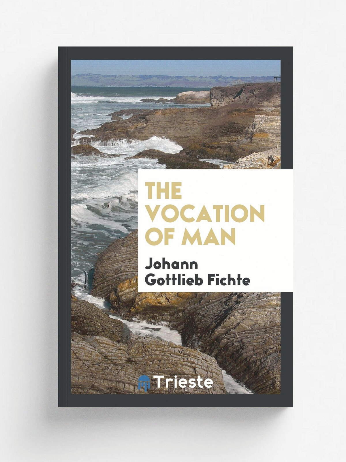 The Vocation of Man