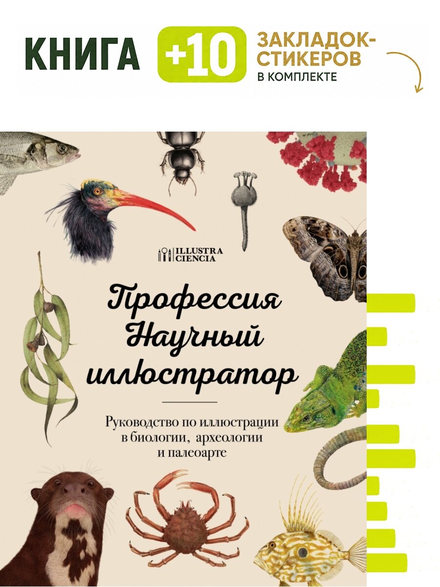 Профессия - Научный иллюстратор. Руководство по иллюстрации в биологии, археологии и палеоарте. Комплект: книга + 10 закладок-стикеров