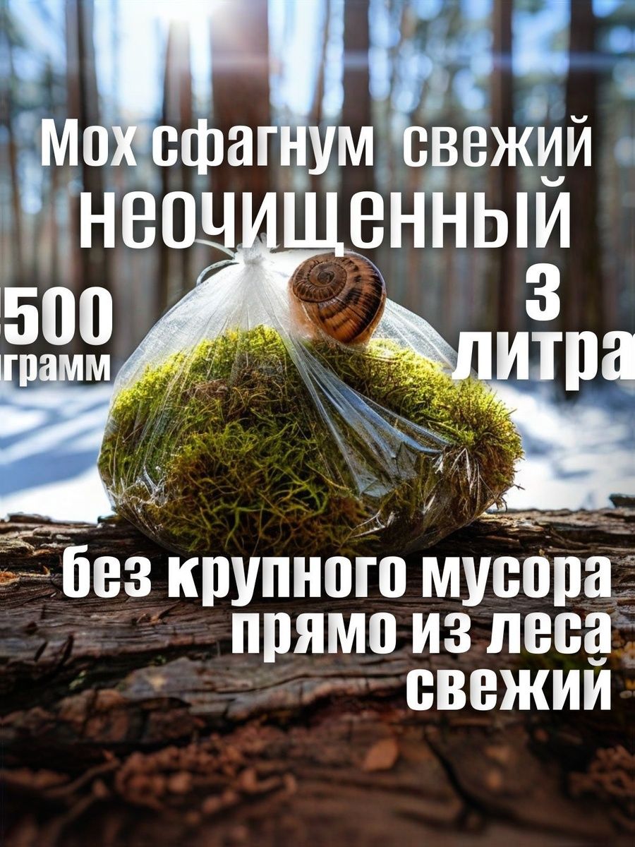 Мох сфагнум неочищенный свежий, 3 литра, для орхидей и террариумов