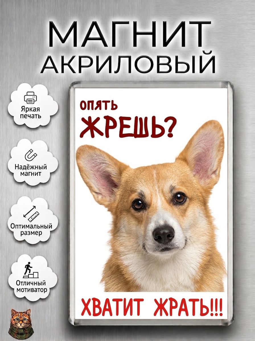 Магнит на холодильник "Корги-мотиватор: Хватит жрать!", с прикольной надписью