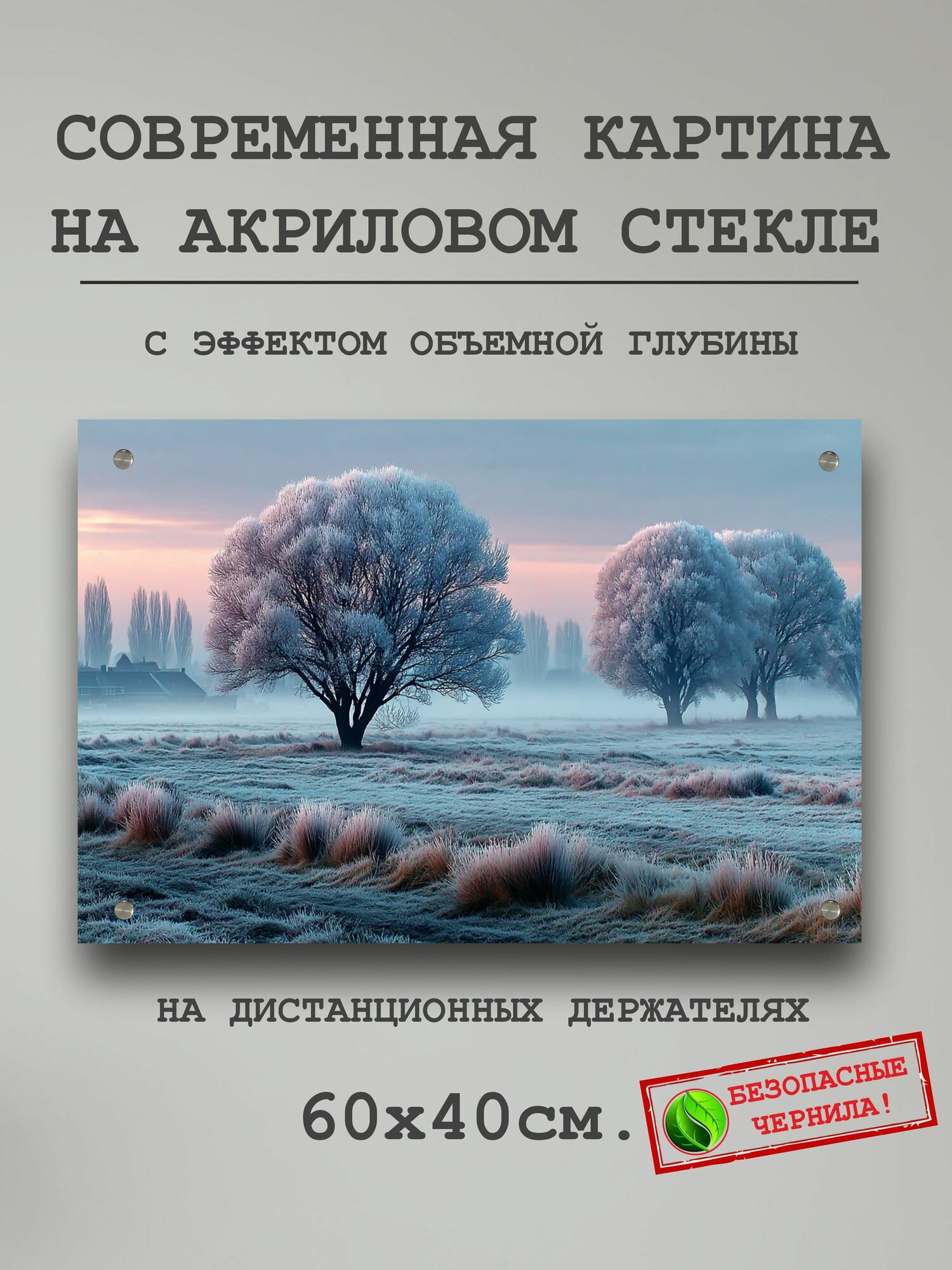 Современная картина на акриловом стекле 60x40 см Зимнее утро . Парящие крепления на дистанционных держателях.