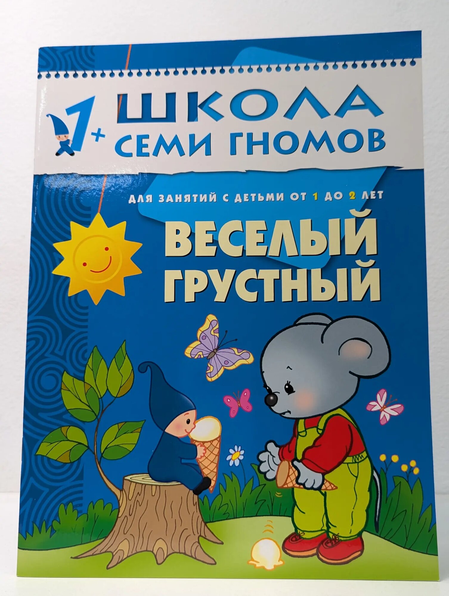 Школа семи гномов. 2 год. Веселый грустный Денисова Дарья 2021