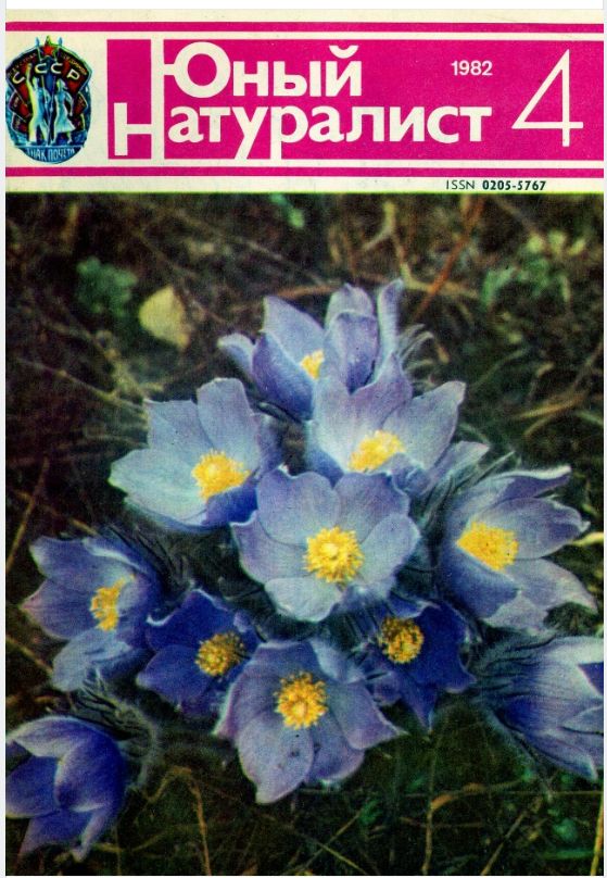 Журнал Юный натуралист №04 1982 г.