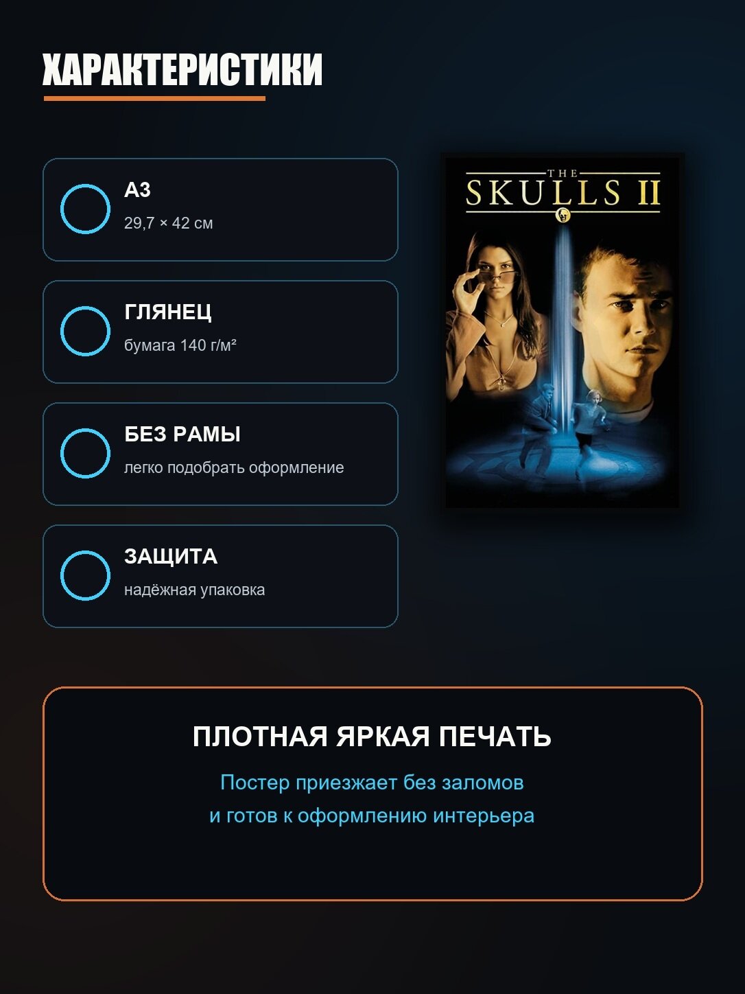 Постер Черепа 2 — фото 1