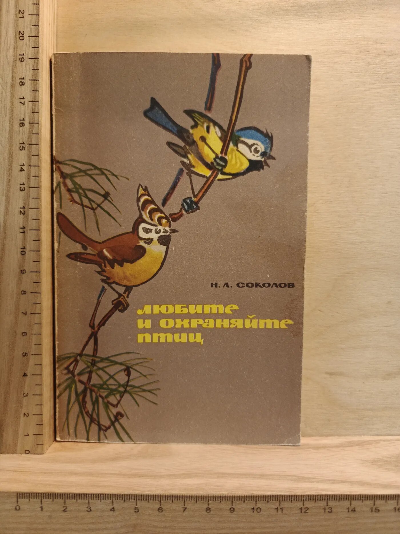 Любите и охраняйте птиц