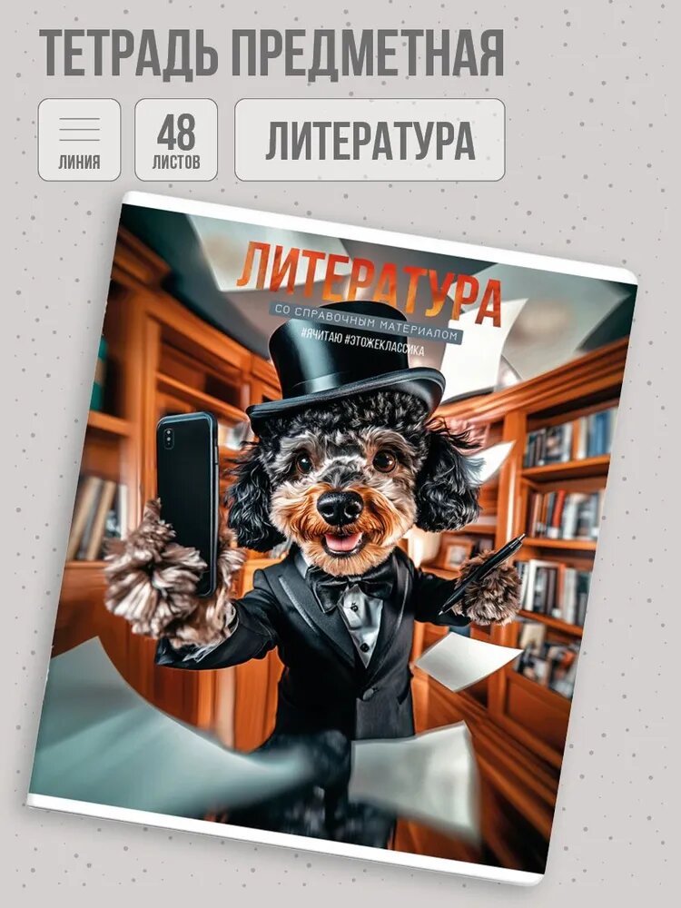 Тетрадь предметная по литературе 48 листов в линию Феникс+