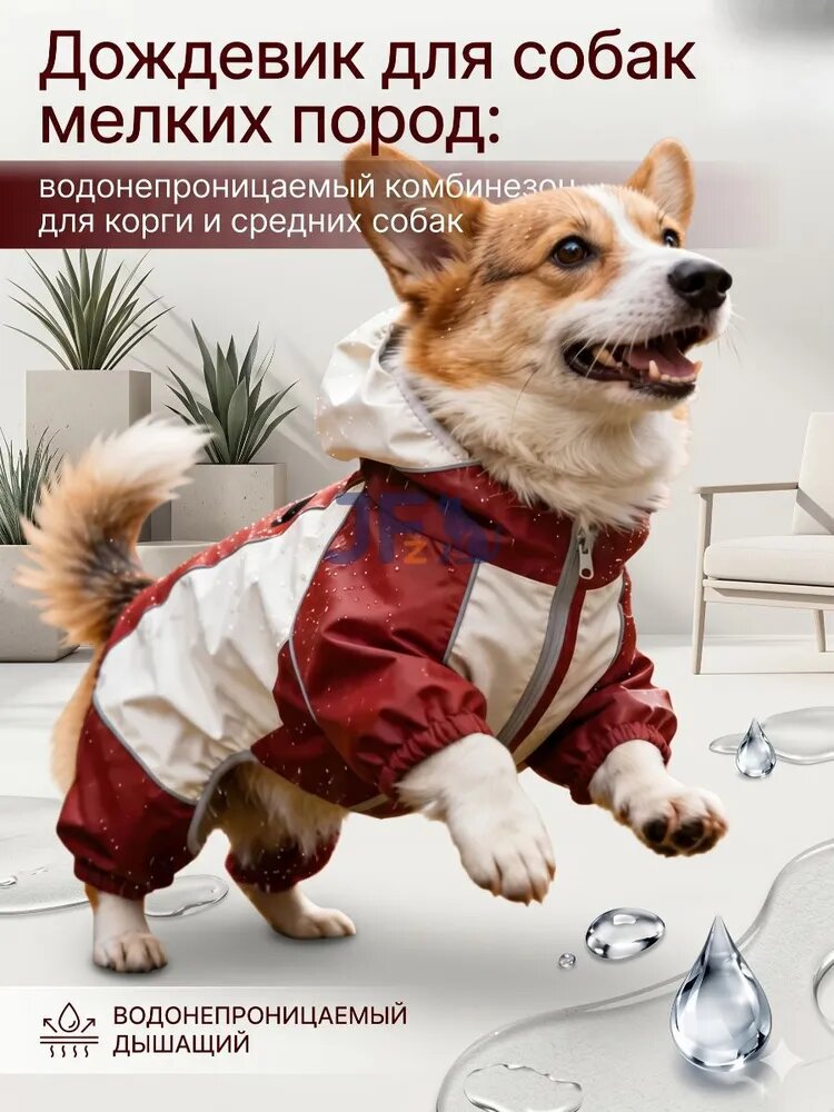 Дождевик для собаки мелких пород: водонепроницаемый комбинезон для корги и средних собак
