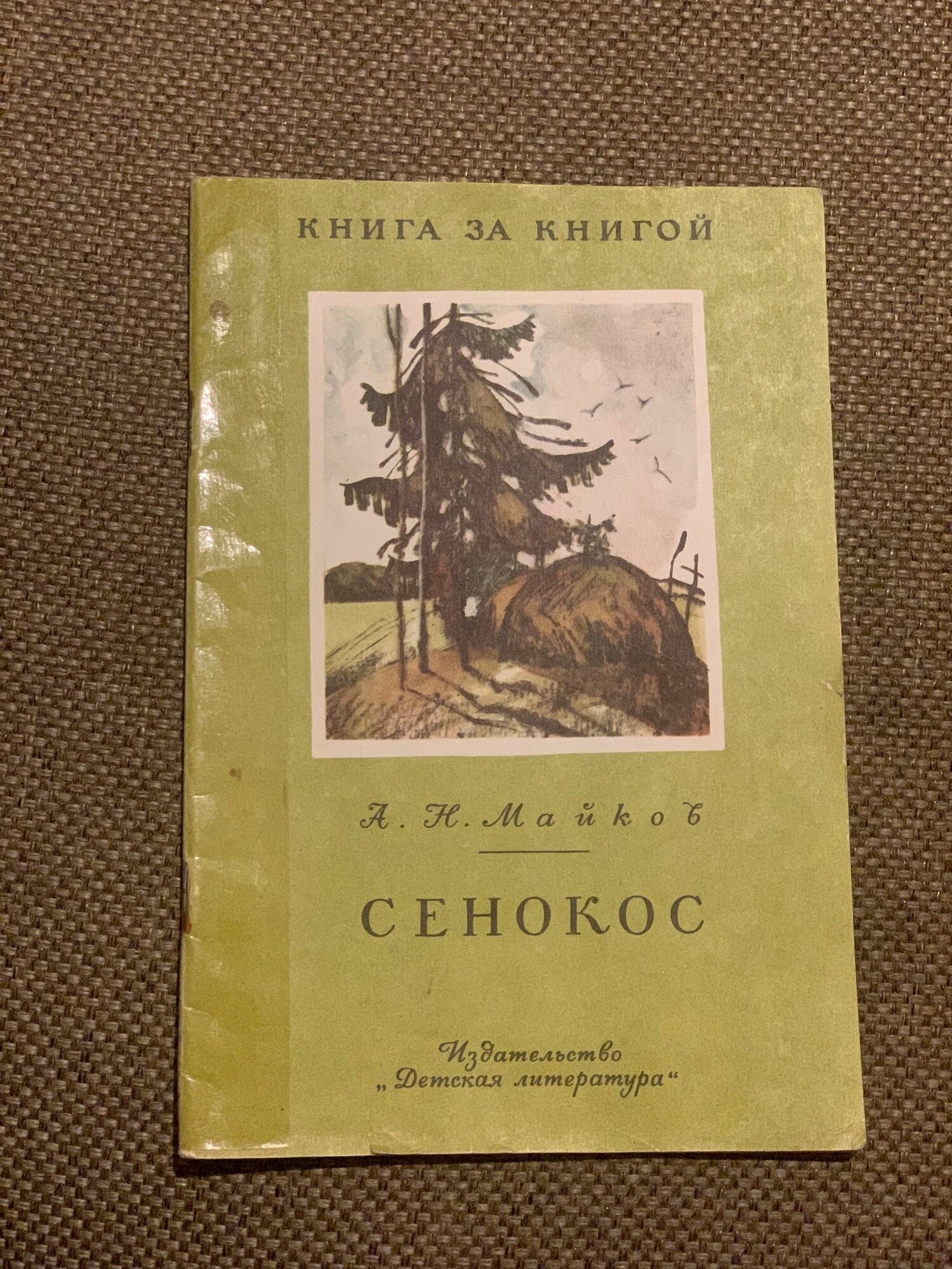 Книга за книгой, Сенокос, Майков А. Н.