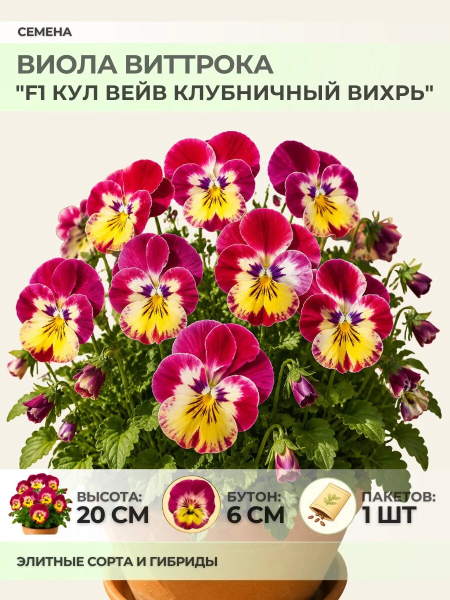 Виола "Кул Вейв Клубничный вихрь" F1, ампельный сорт, меняет окраску от розовой до жёлтой, 1 упаковка, 3 шт. семян.