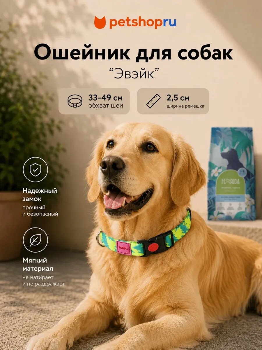 Ошейник из стропы "Эвэйк"