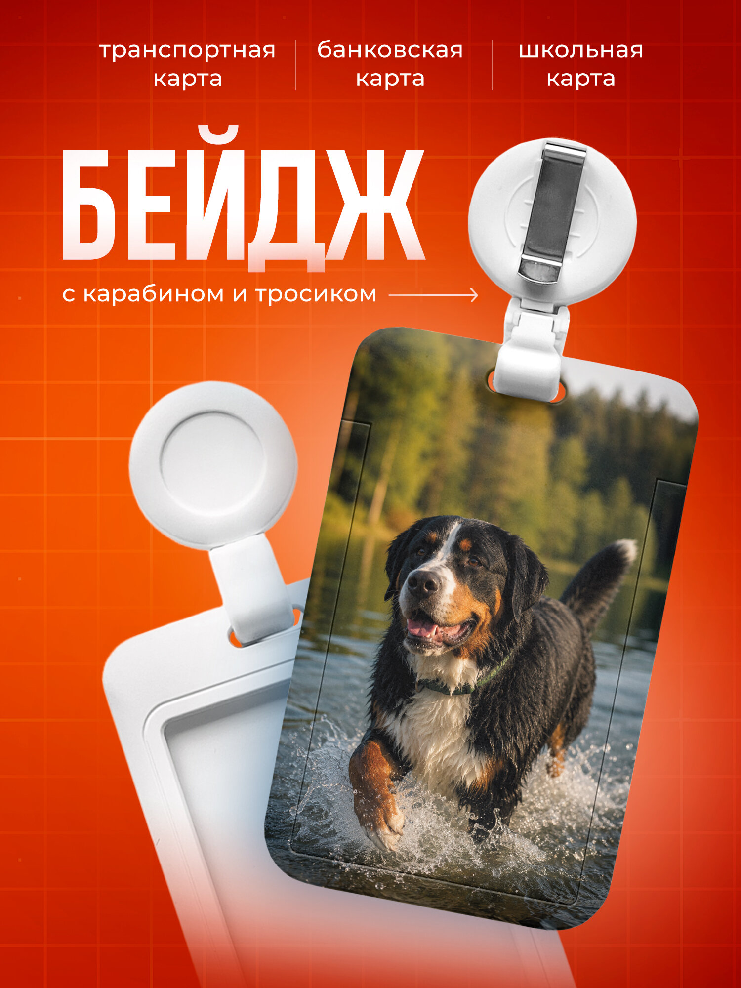 Бейдж чехол для пропуска, карты IREVIVE, с принтом большой швейцарский зенненхунд у озера
