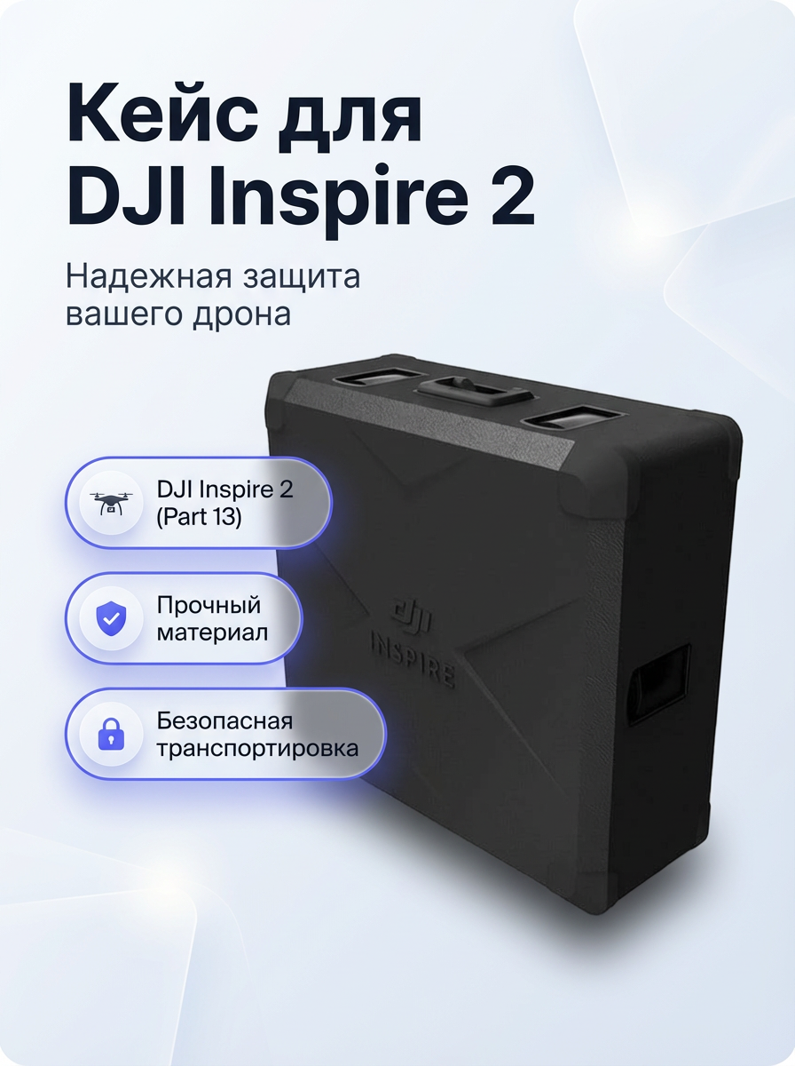 Кейс DJI Inspire 2 Carrying Case CP. BX.000195 черный жесткий с металлической рамой и взлетной площадкой