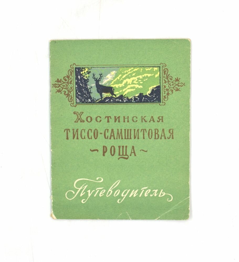 Хостинская тиссо-самшитовая роща. Путеводитель