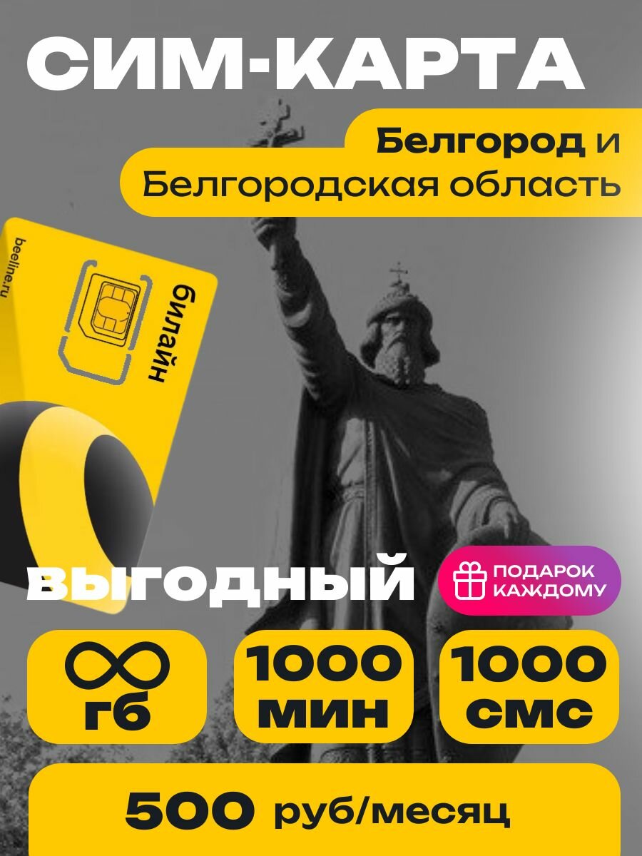 Сим-карта Билайн тариф Выгодный Белгородская область Безлимитный интернет и 1000 минут за 500 руб.
