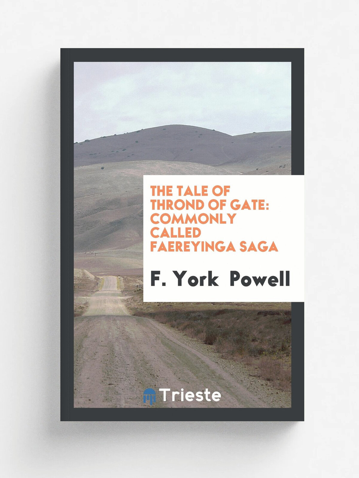 The tale of Thrond of Gate. commonly called Faereyinga saga