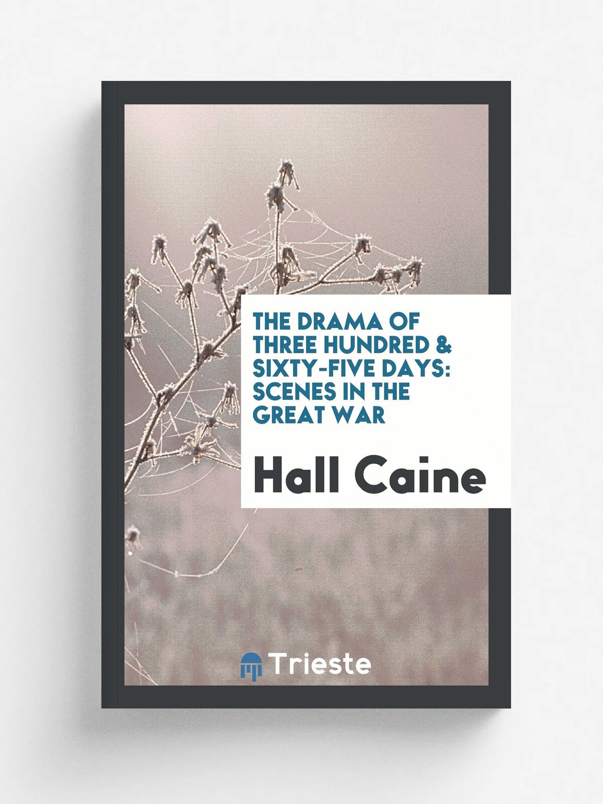 The Drama of Three Hundred & Sixty-Five Days. Scenes in the Great War