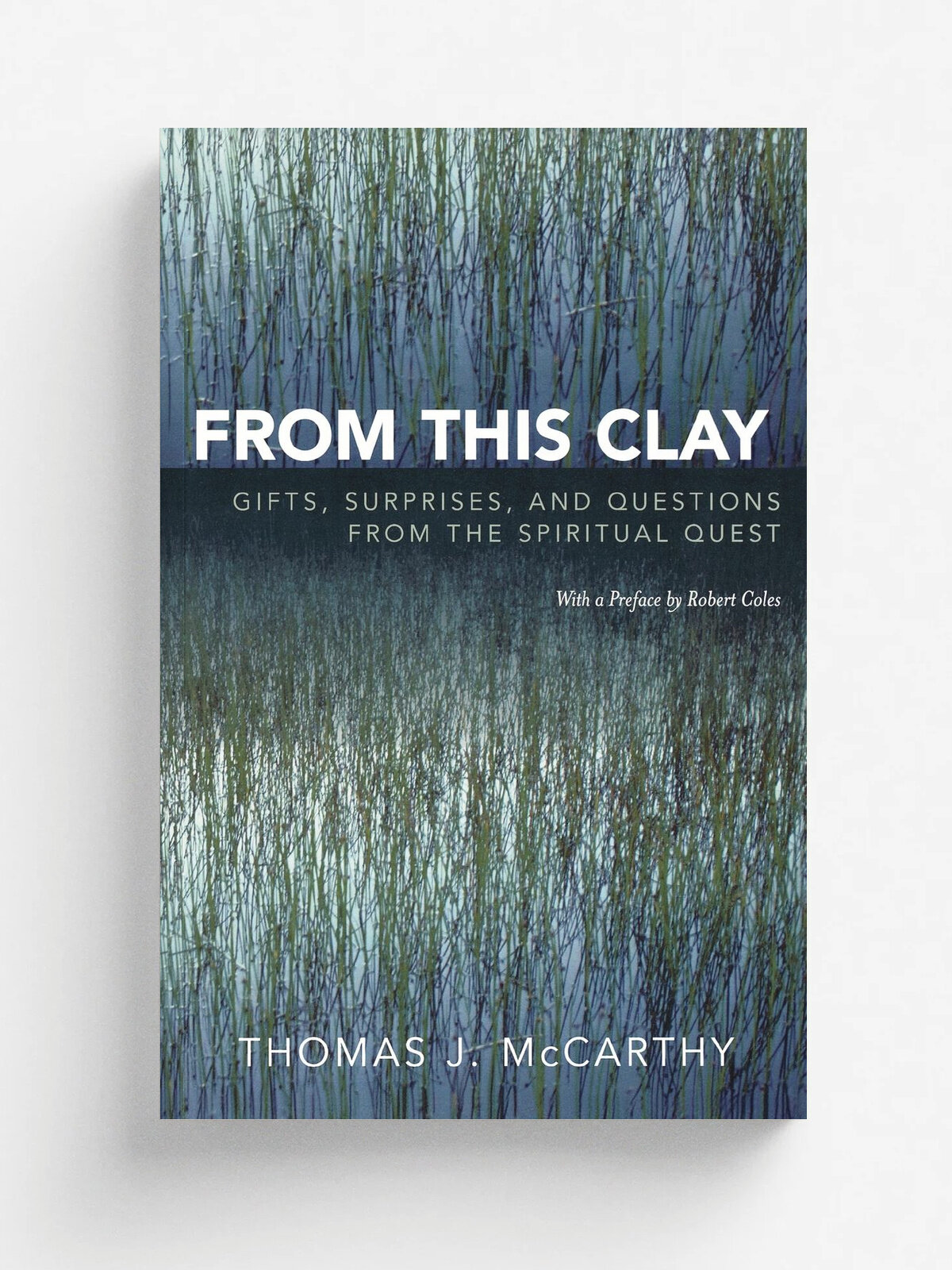 From This Clay. Gifts, Surprises and Questions from the Spiritual Quest