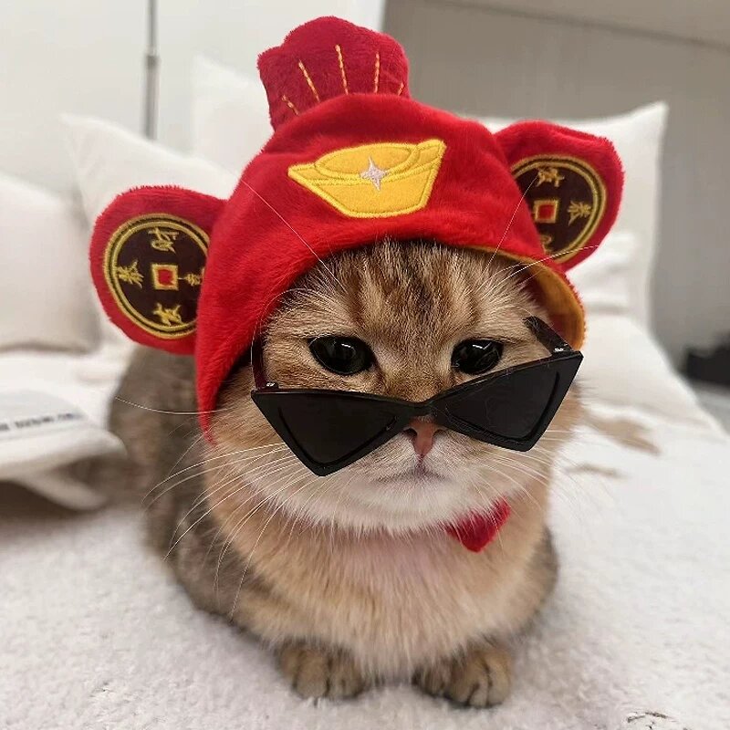 Котелок с мотивом удачного денежного мотива, один размер для кошек и маленьких собак, праздничный зимний аксессуар