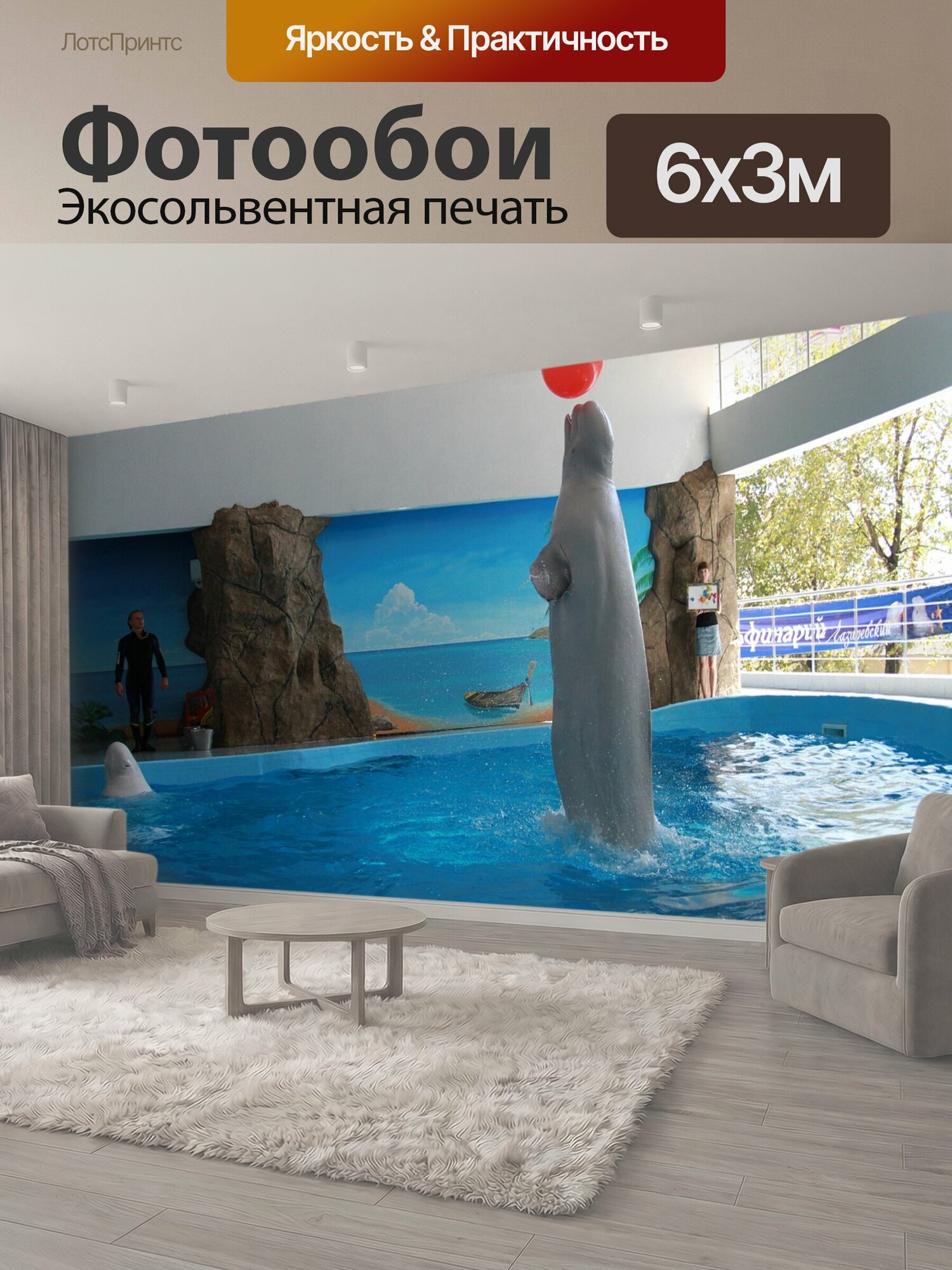 Фотообои "Касатка, дельфинарий, трюки" 600x300 см. экосольвентная печать