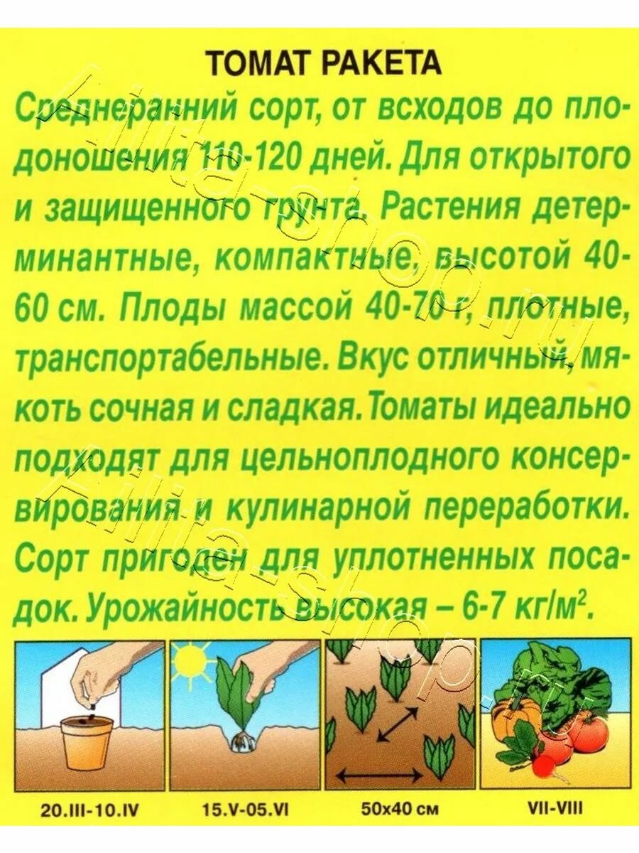 Семена "Томат Ракета" — фото 1
