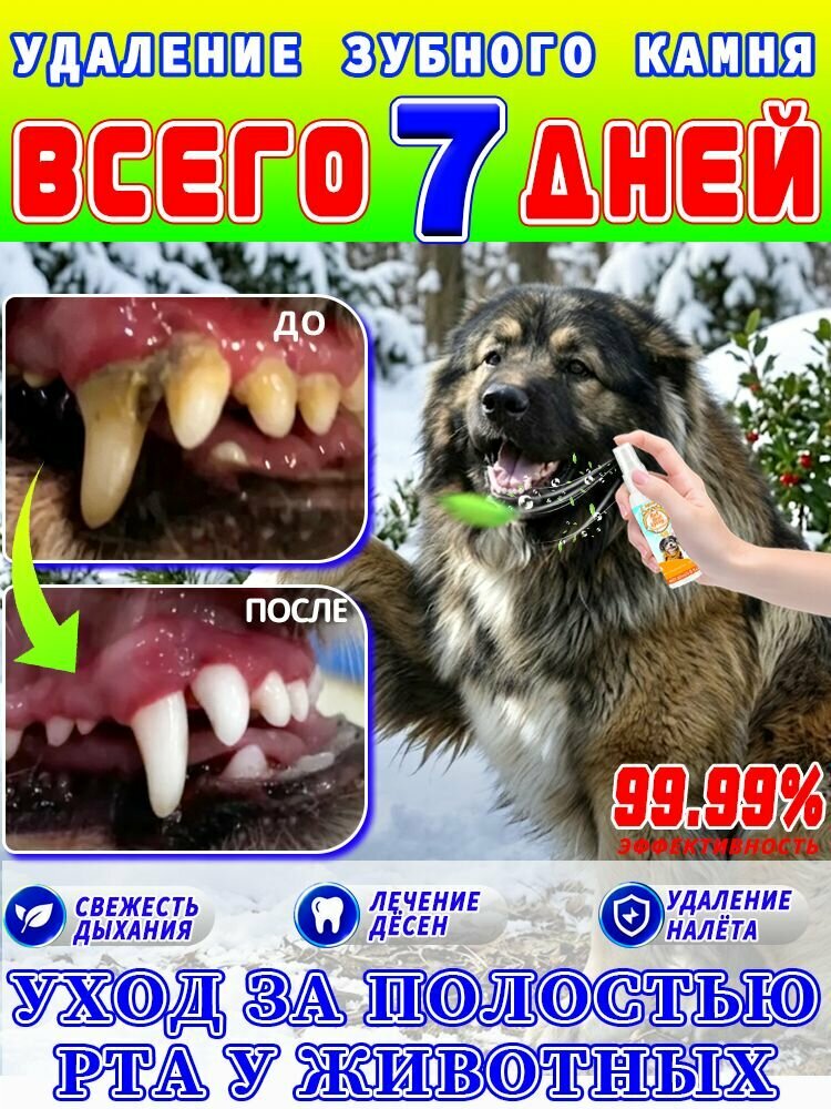 Спрей для рта для кошек и собак. Мягко борется с бактериями, освежает дыхание, удаляет зубной налёт и зубной камень, восстанавливает дёсны при воспалении.30 мл для кошек и собак от зубного камня освежение дыхания