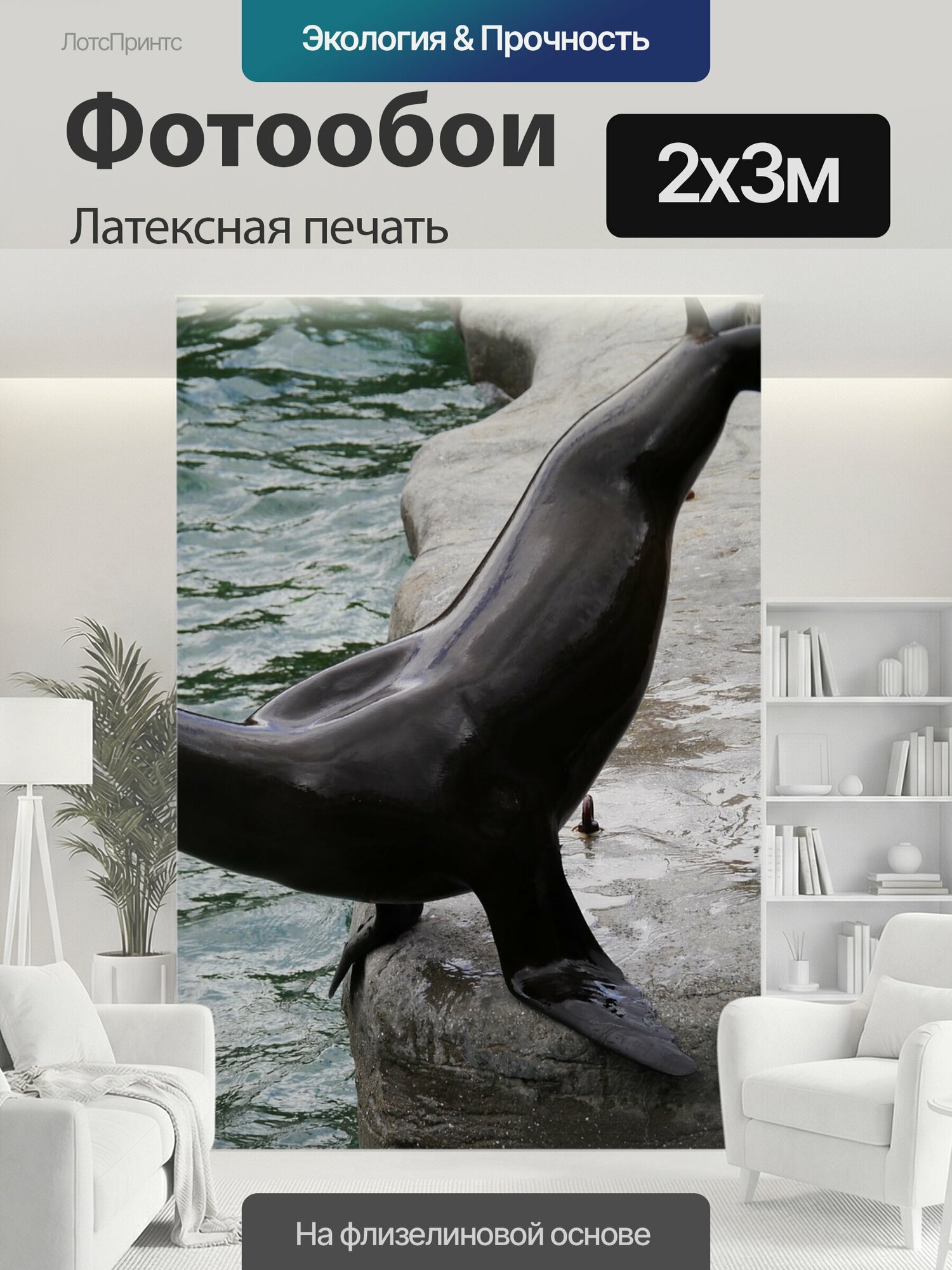 Фотообои моющиеся ударопрочные "Морской лев, морские существа, водная жизнь" 200x300 см. латексная печать