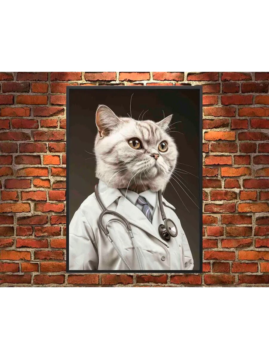 Британская короткошерстная кошка Доктор 2, Плакат 30x42см
