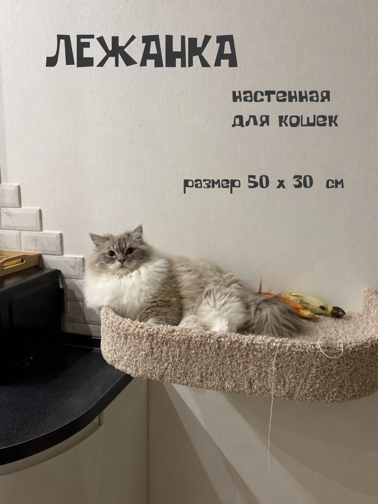 Лежанка для кошек, Ван Кот, настенная, с бортиком, бежевый ковролин, 50х30 см