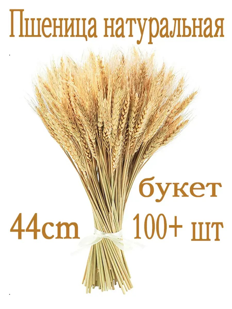 Сухоцветы для декора Пшеница натуральная 100шт