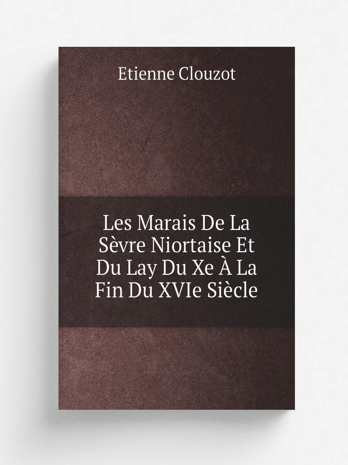 Les Marais De La S.vre Niortaise Et Du Lay Du Xe . La Fin Du XVIe Si.cle
