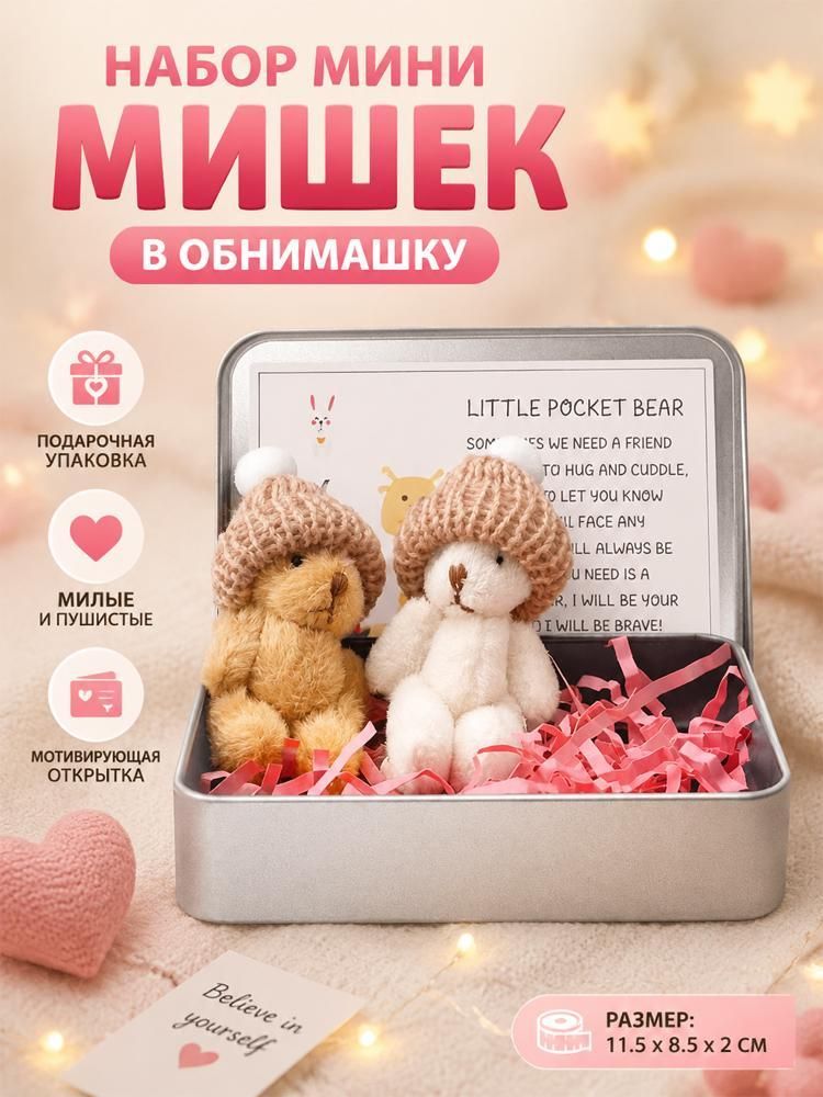 Набор мягких игрушек маленькие мишки в металлической коробке с открыткой Little Pocket Bear 2 шт