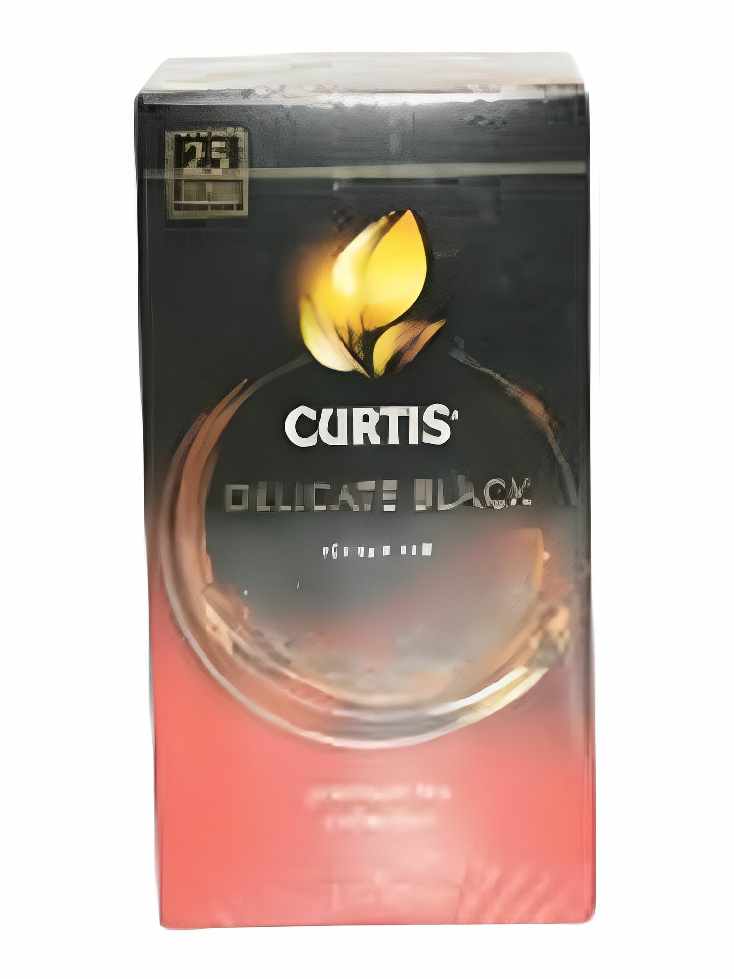 Чай черный Curtis Delicate Black 25 пак