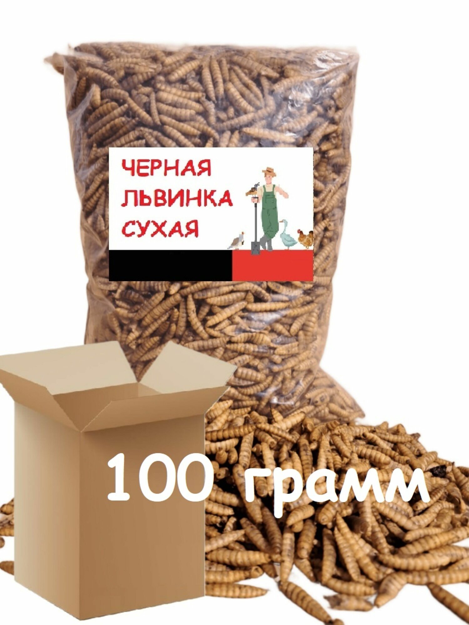 Черная львинка Сушеные личинки