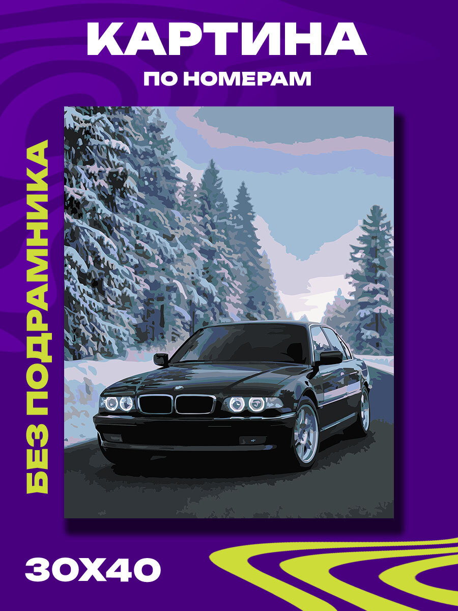 Картина по номерам Чёрный BMW среди снегов