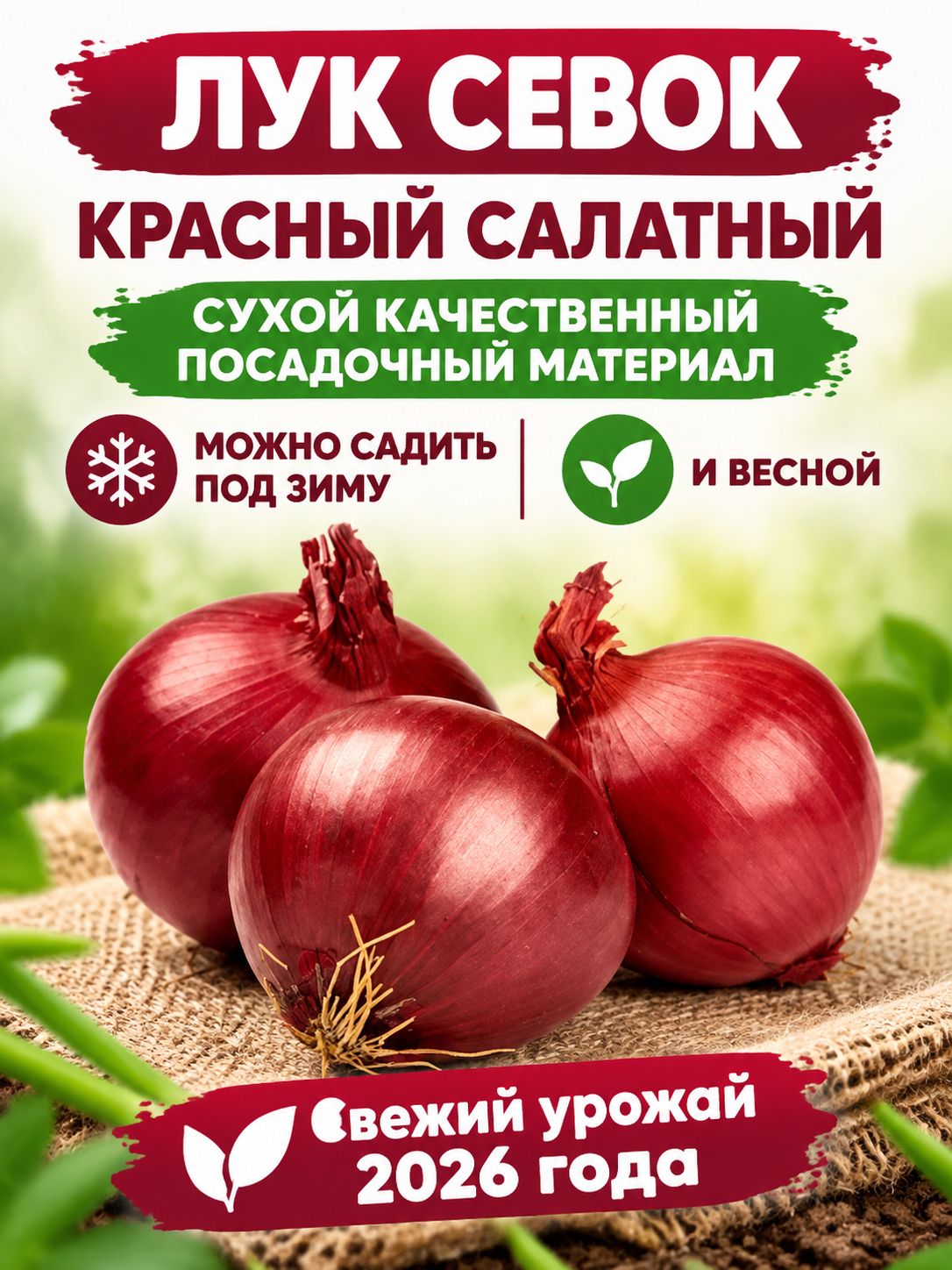 Лук севок красный салатный/Новый урожай 2026 год, 1 кг