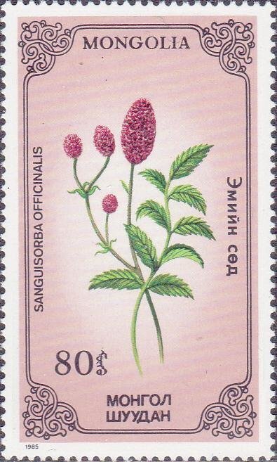 (1985-036) Марка Монголия "Кровохлебка лекарственная" Растения III