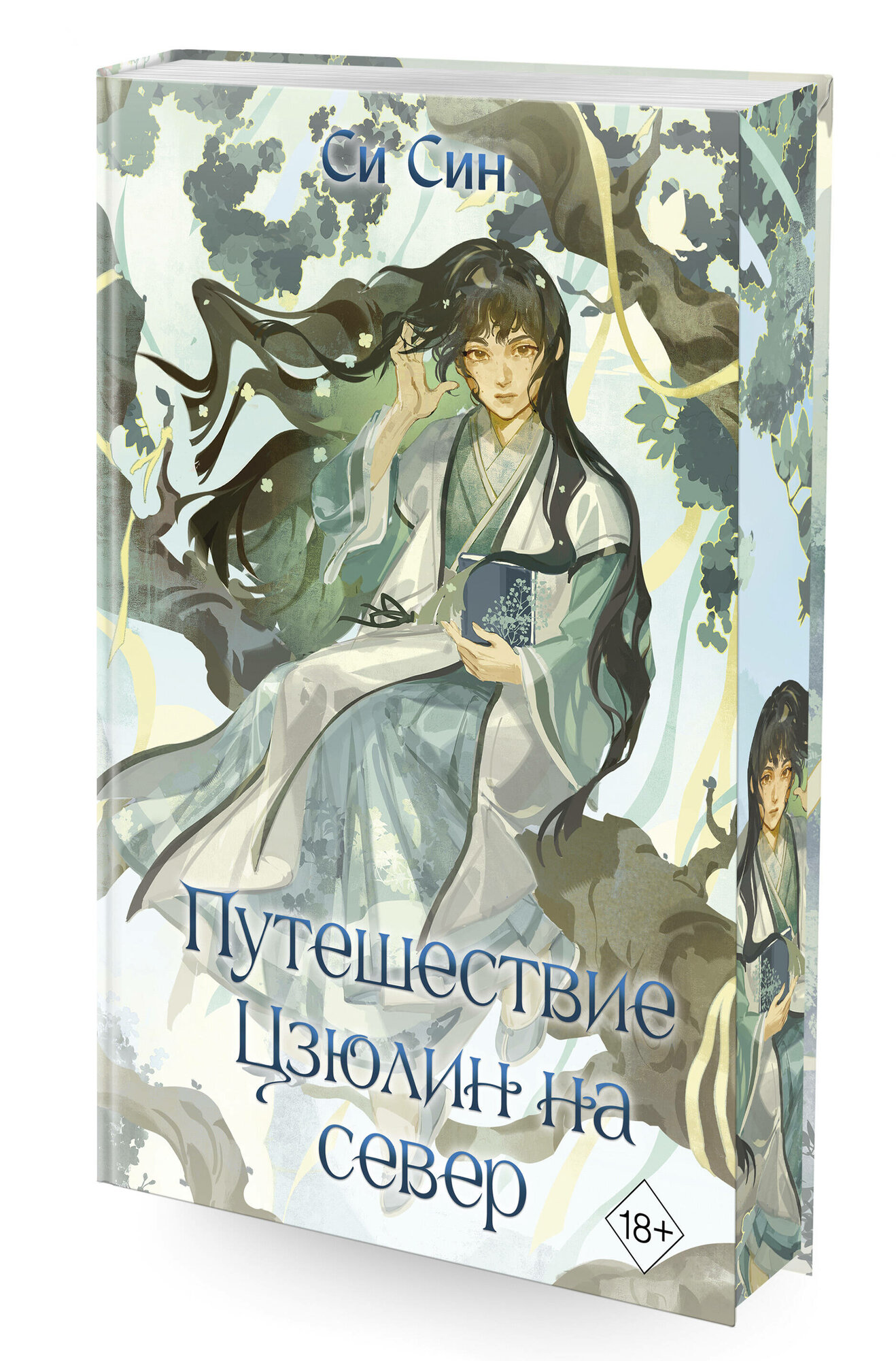 Син С. Путешествие Цзюлин на север (#6)