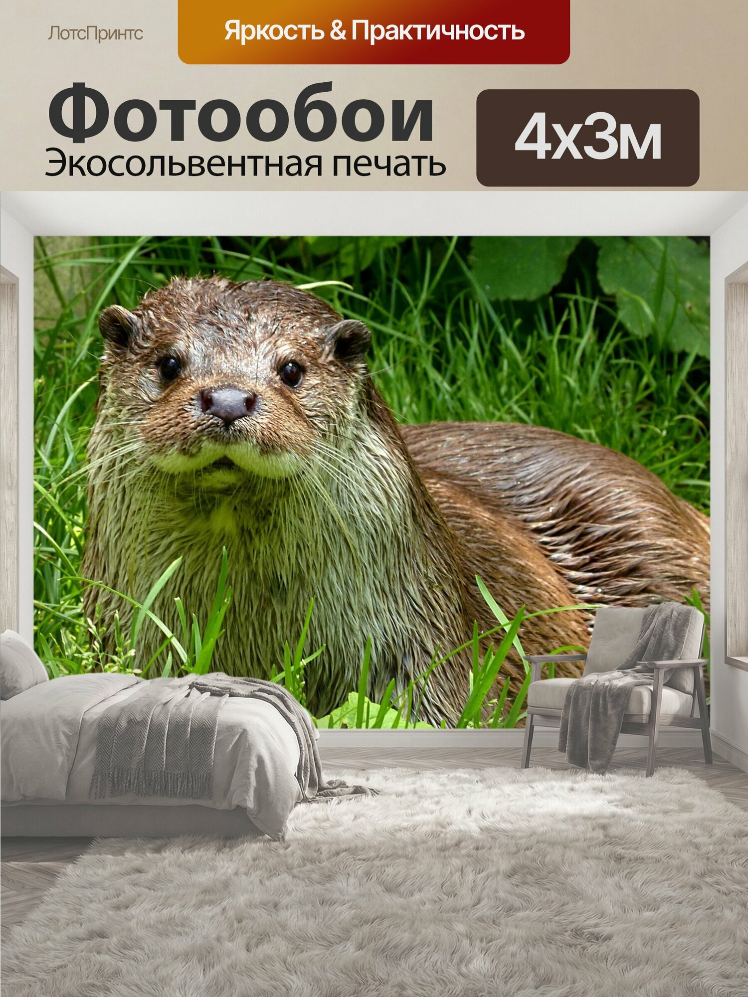 Фотообои "Выдра, лутра, животное" 400x300 см. экосольвентная печать