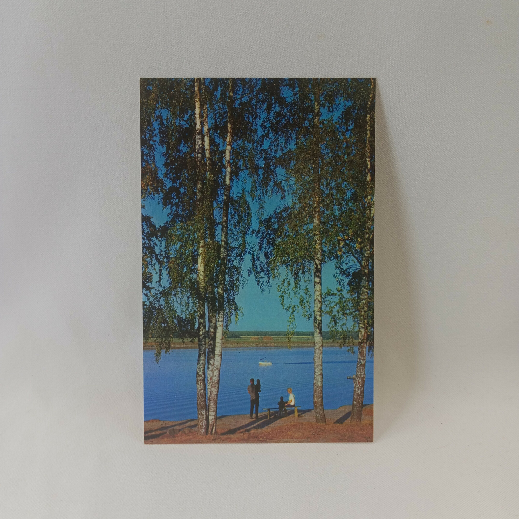 Открытка советская СССР. Калинин, березовая роща у воды, городской пейзаж, прогулка, винтаж