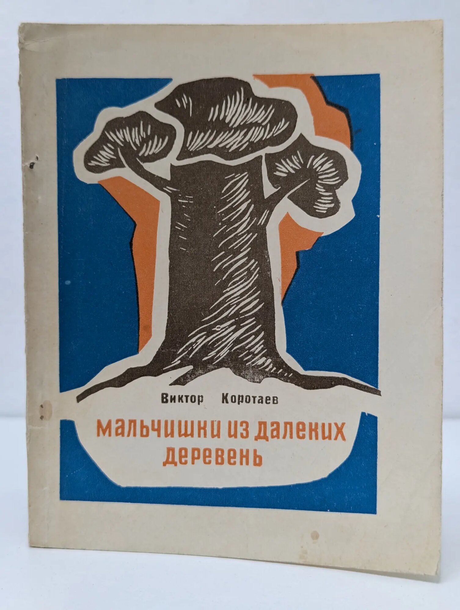 Мальчишки из далеких деревень Коротаев Виктор Вениаминович 1969