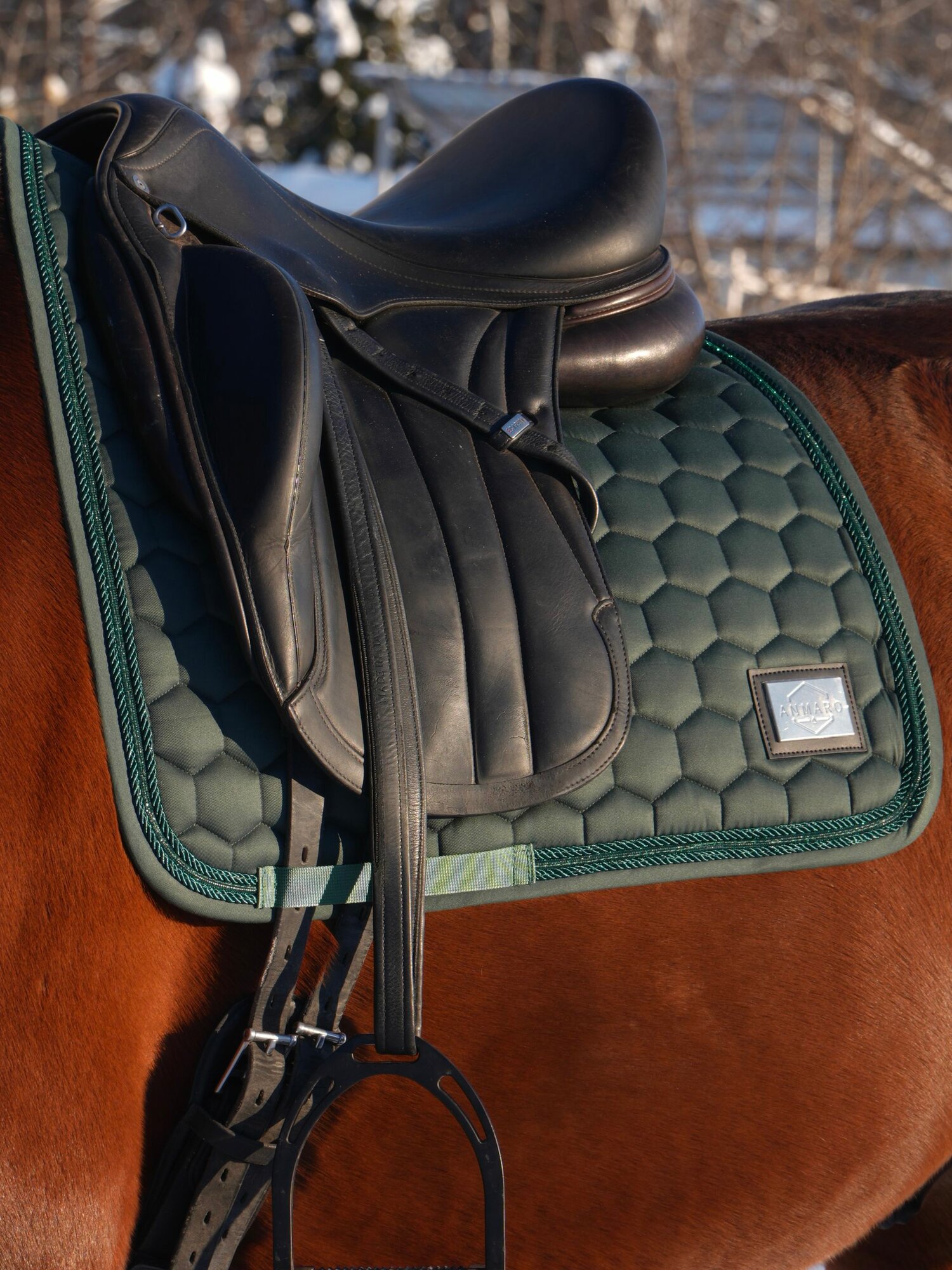Вальтрап выездковый — фото 1