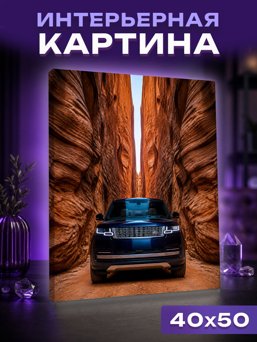 Интерьерная картина Полуночный страж каньона