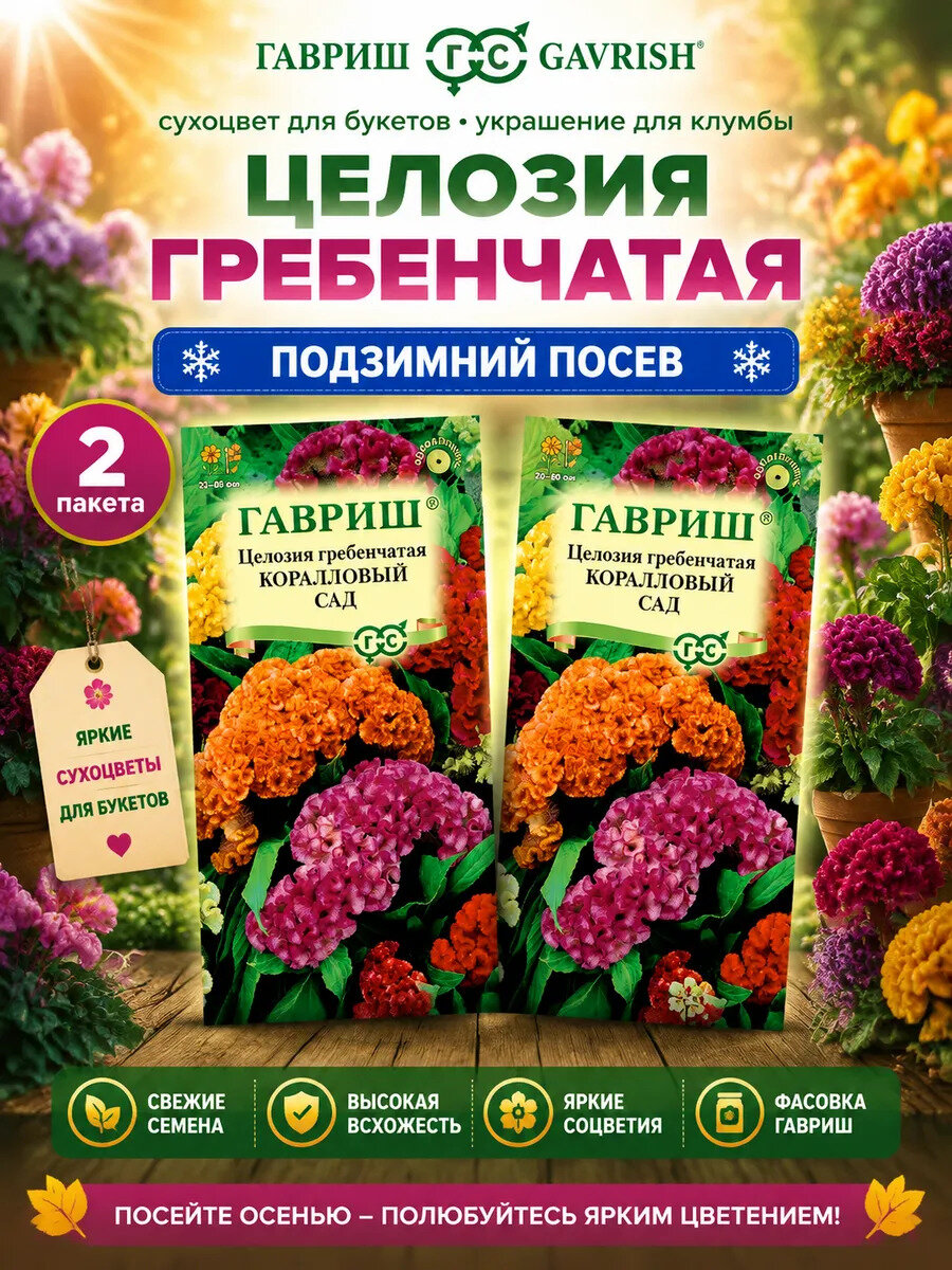 Целозия семена гребенчатая смесь 2 пакета