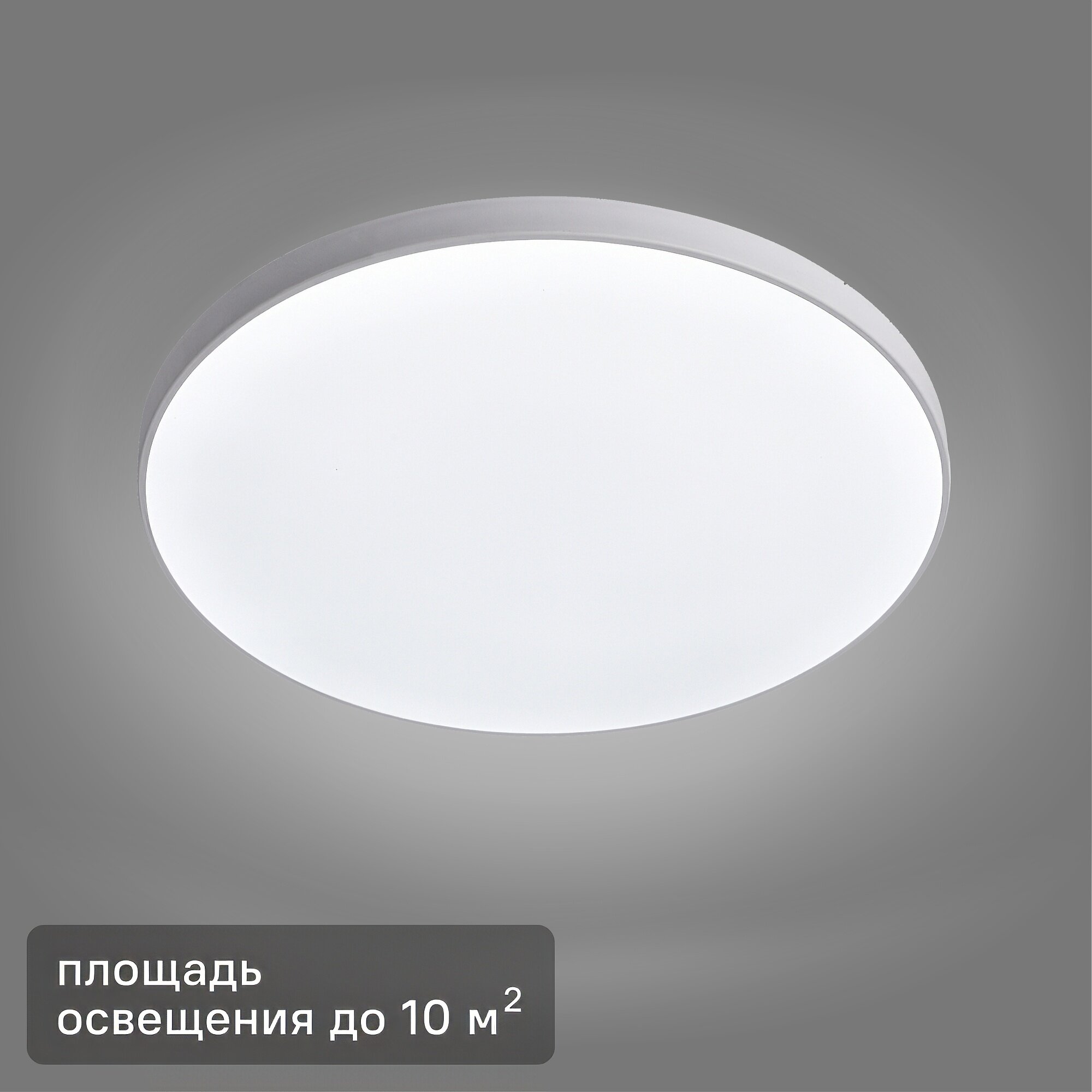 Светильник настенно-потолочный светодиодный Leek 18 Вт круг IP65 нейтральный белый свет