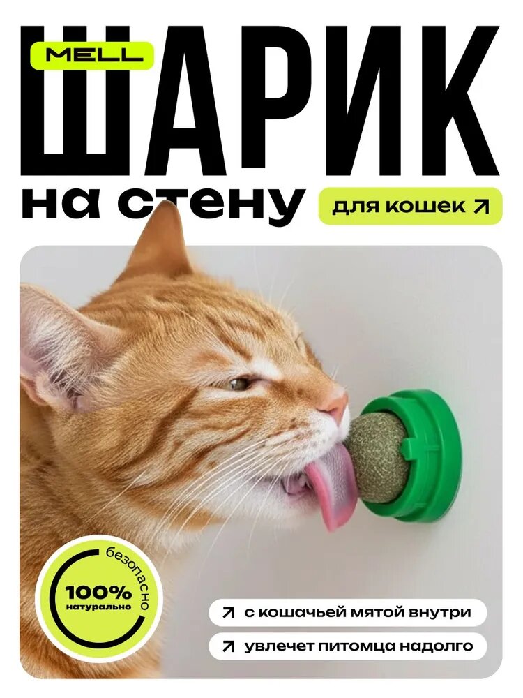 Кошачья мята шарик настенный, игрушка-лизун для кошек, крепится на стену, самостоятельная игра