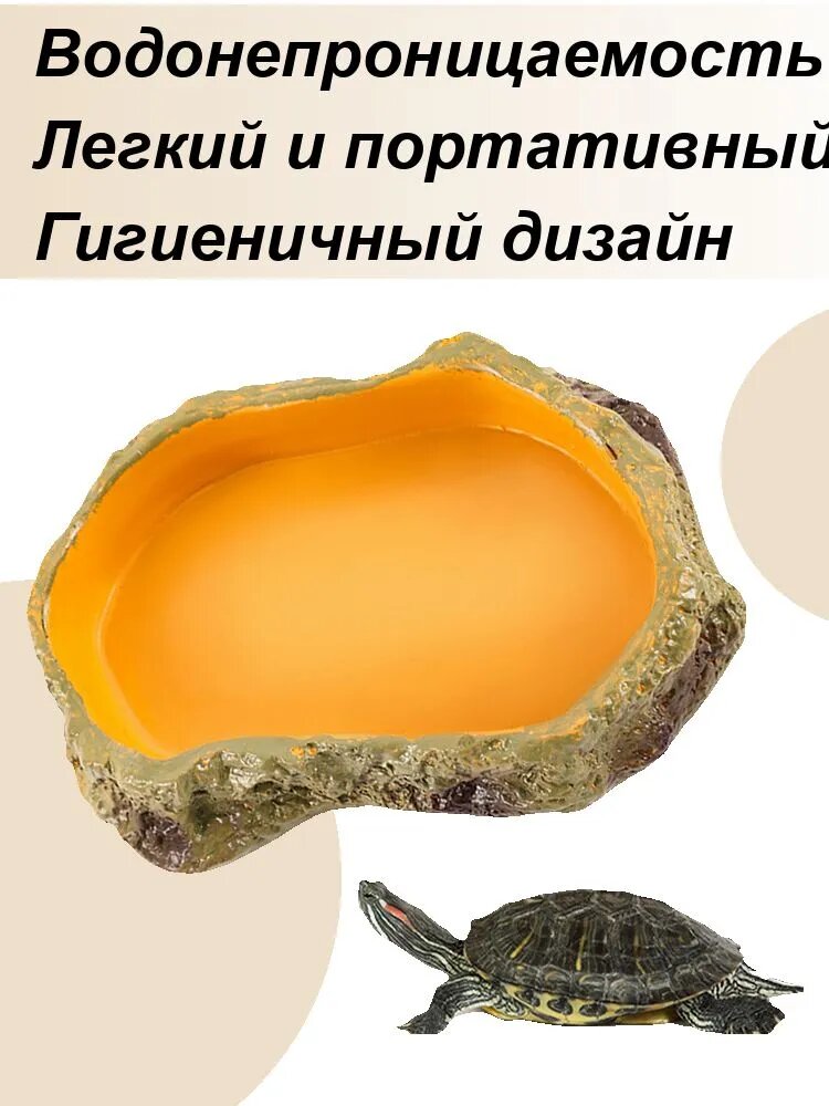 Станция кормления змеиного бассейна для резервуара для рептилий , Аксессуары для аквариума/террариума