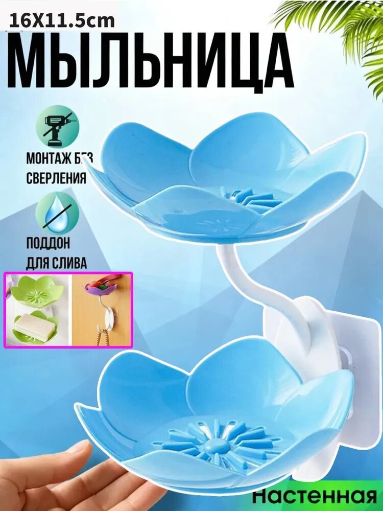 Мыльница