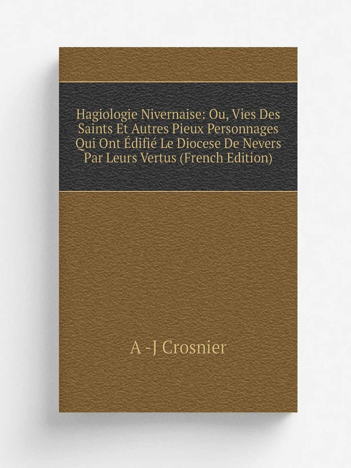 Hagiologie Nivernaise: Ou, Vies Des Saints Et Autres Pieux Personnages Qui Ont . difi. Le Diocese De Nevers Par Leurs Vertus (French Edition) | A -J C…